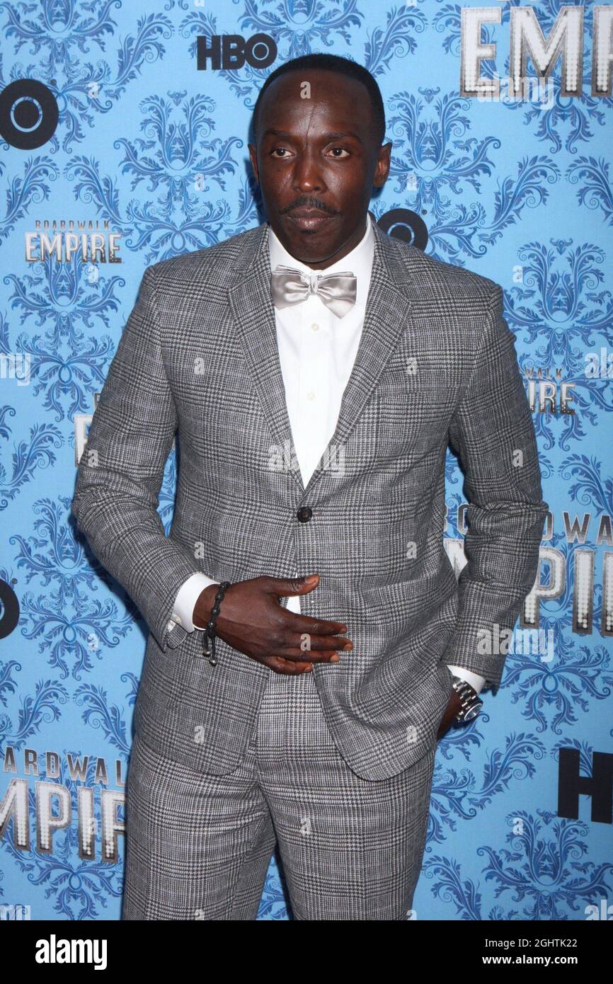Michael Kenneth Williams attends the premiere of the HBO series ...