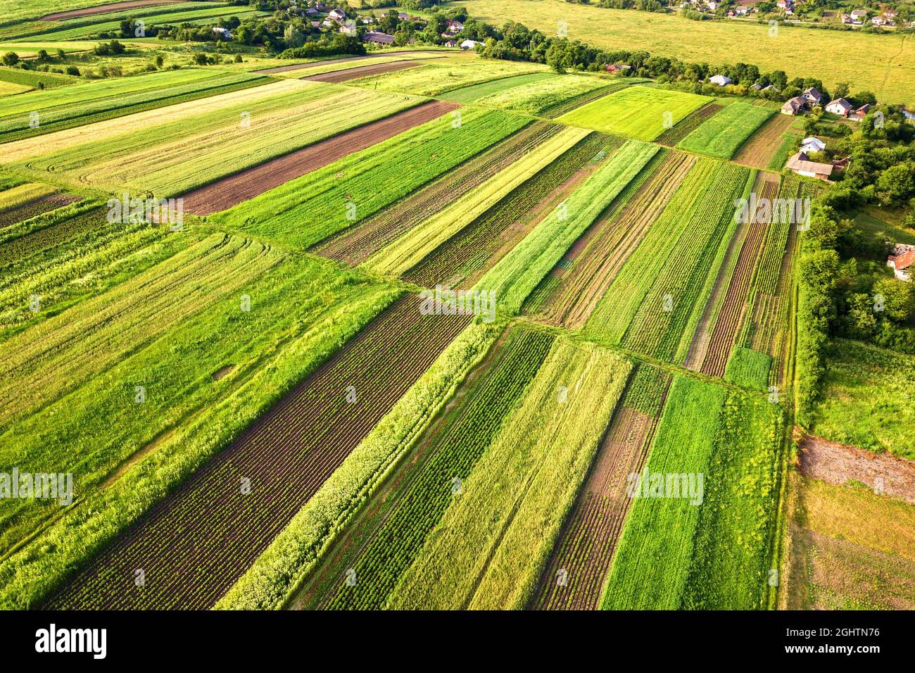 Aerial view of green agricultural fields in spring with fresh ...