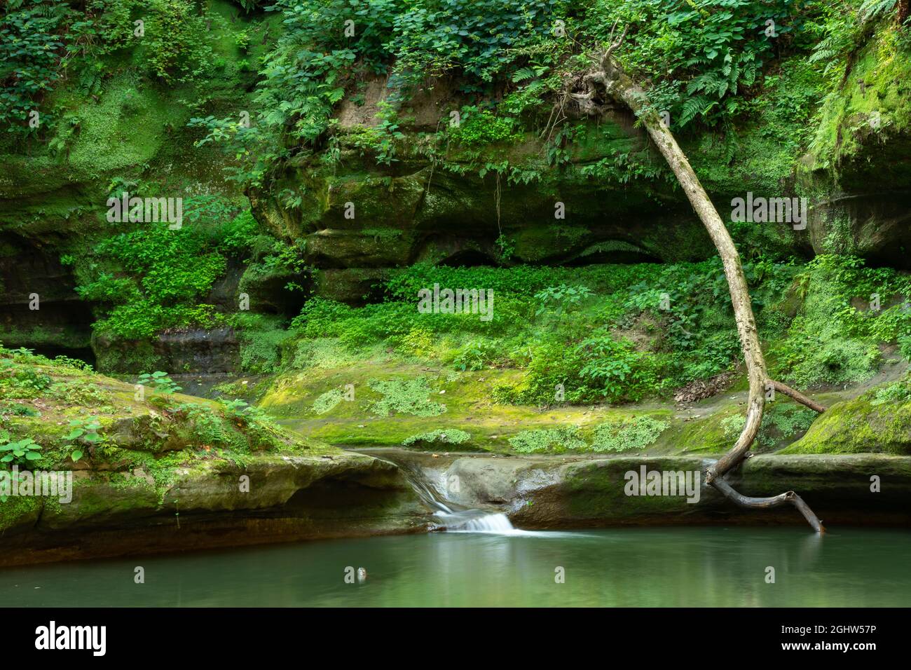 Water flowing through Illinois Canyon, Starved Rock state park ...