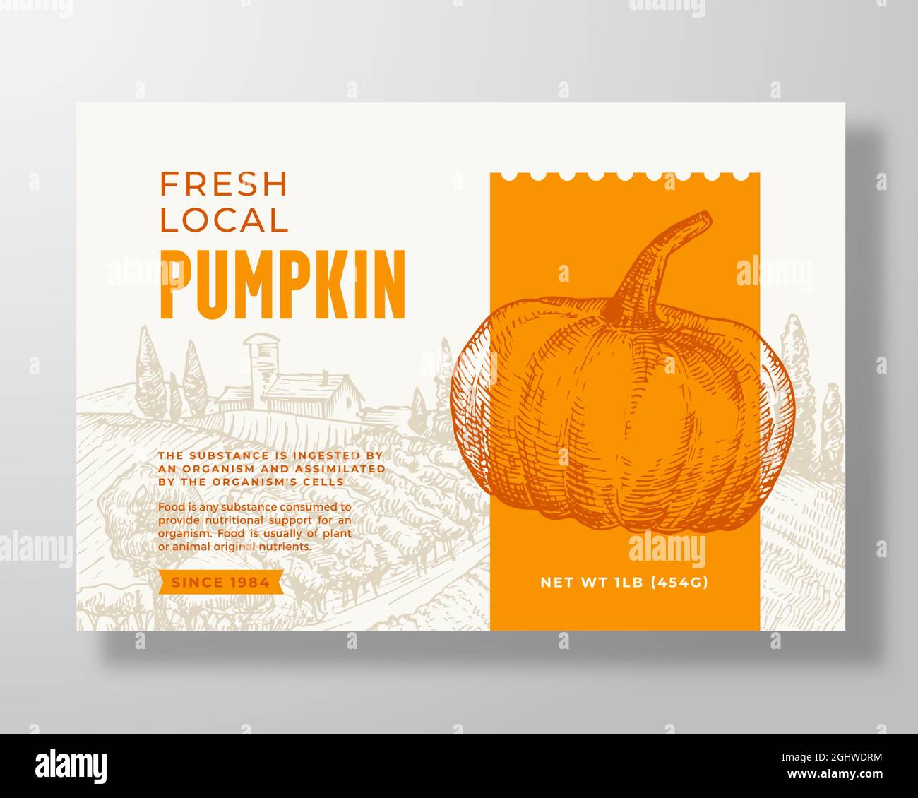 Fresh Local Pumpkin Food Label Template. Abstract Vector Packaging ...