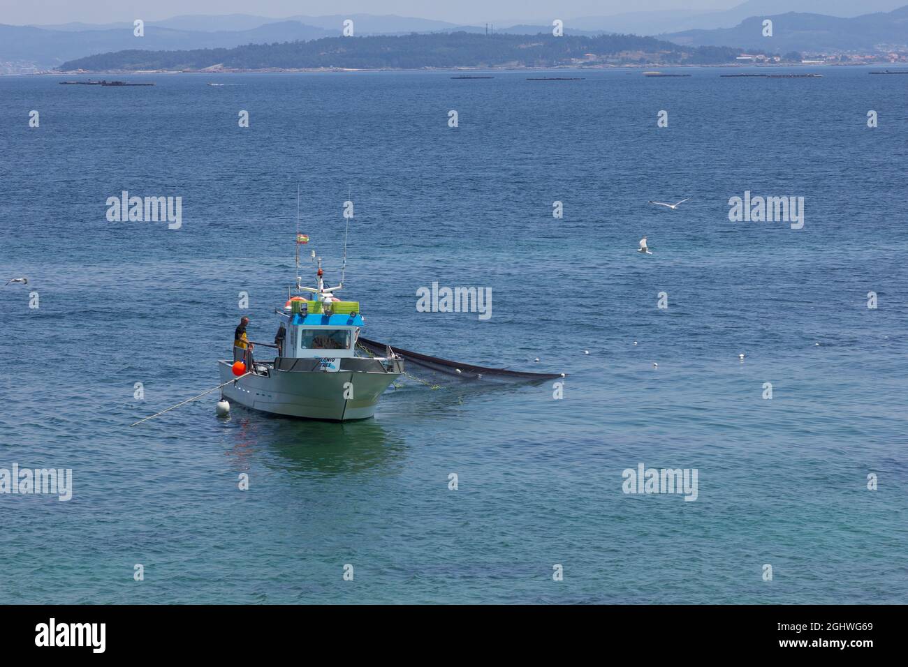 Fish inside commercial fishing net hi-res stock photography and images ...