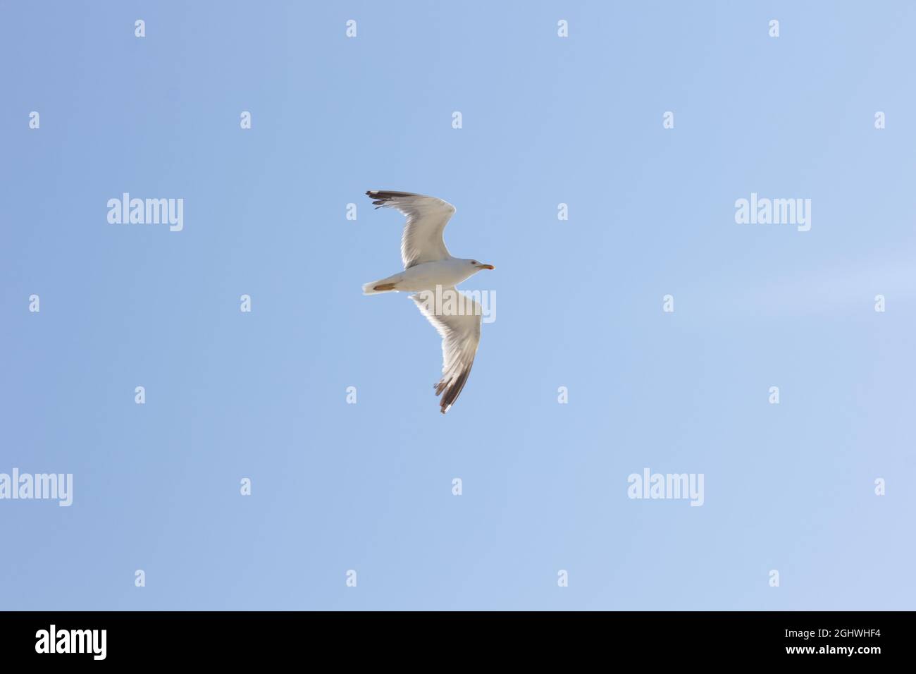 Using air currents hi-res stock photography and images - Alamy