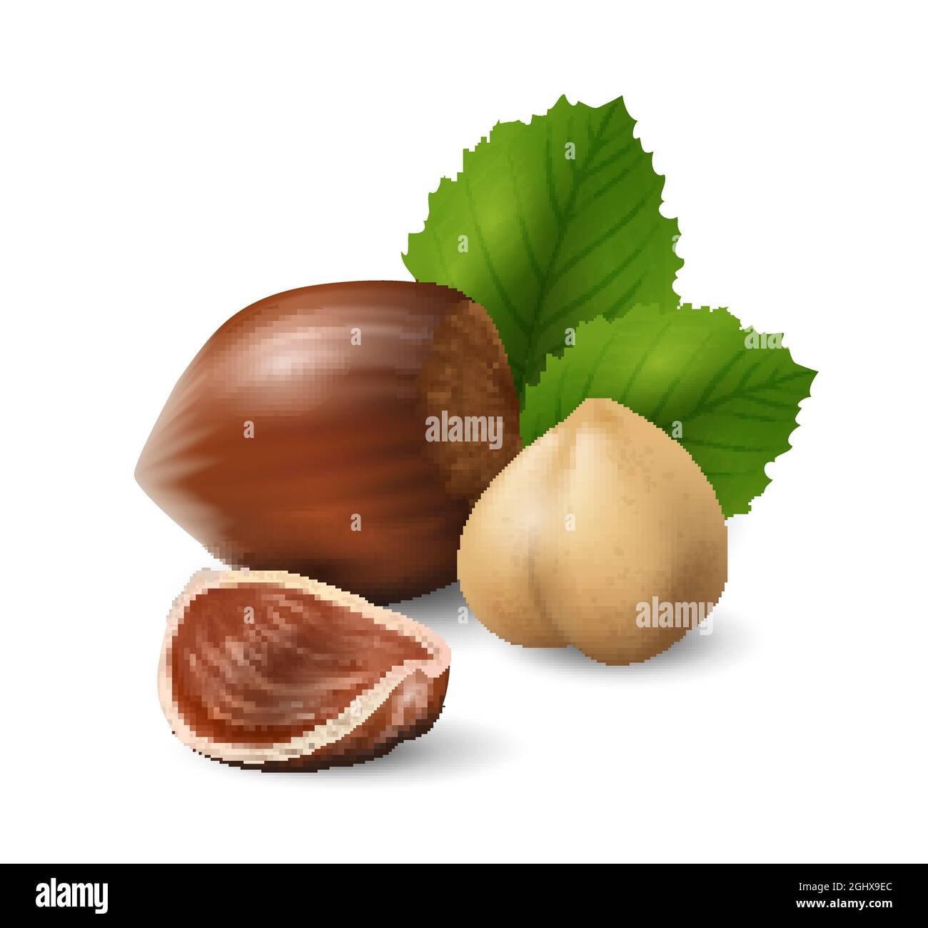 Hazelnuts with green leaves. Nuts and seeds collection. Realistic ...