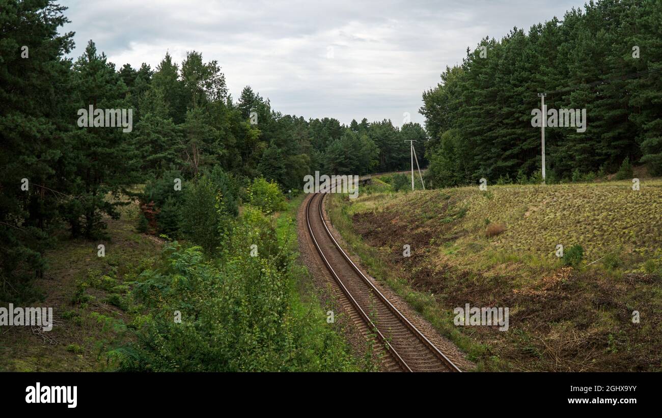 View of a railway going among the dense forest Stock Photo - Alamy