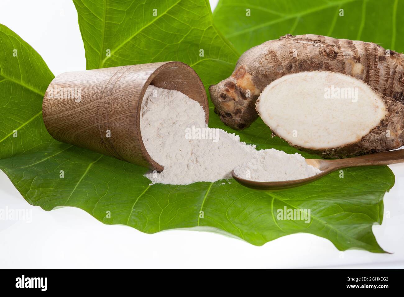 Taro Root of Colocasia esculenta and Organic Taro Flour in a bowl Stock ...