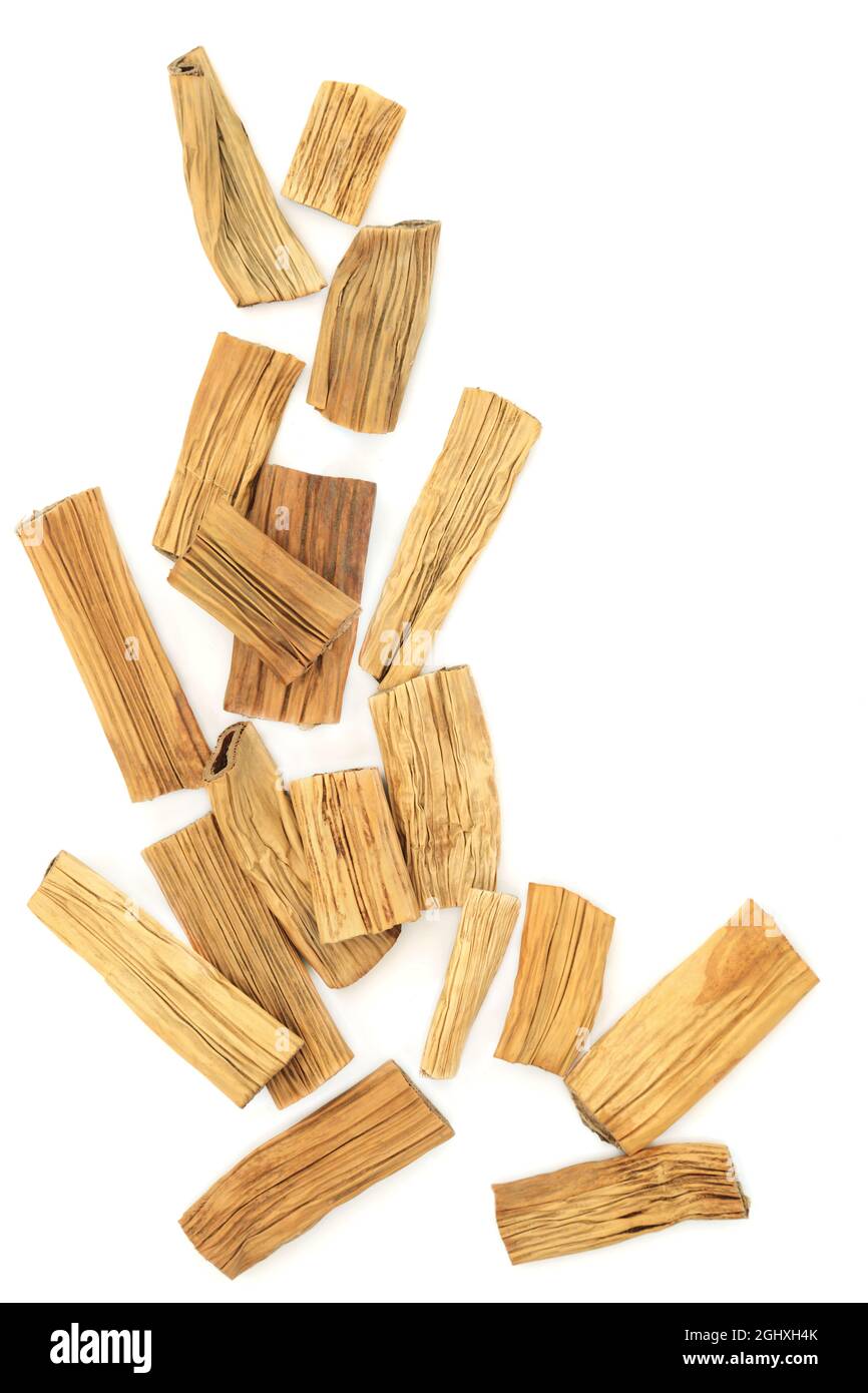 Reed root herb used in traditional plant based Chinese herbal medicine ...