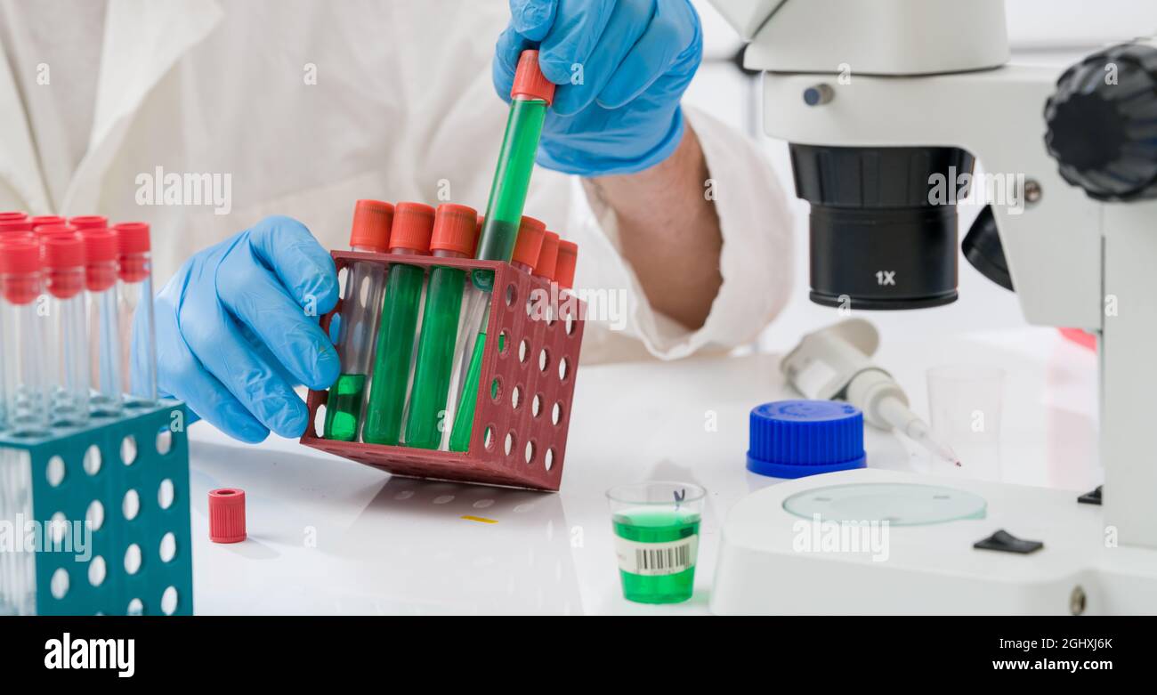 Scientific experiment in the laboratory of the metabolism of living ...