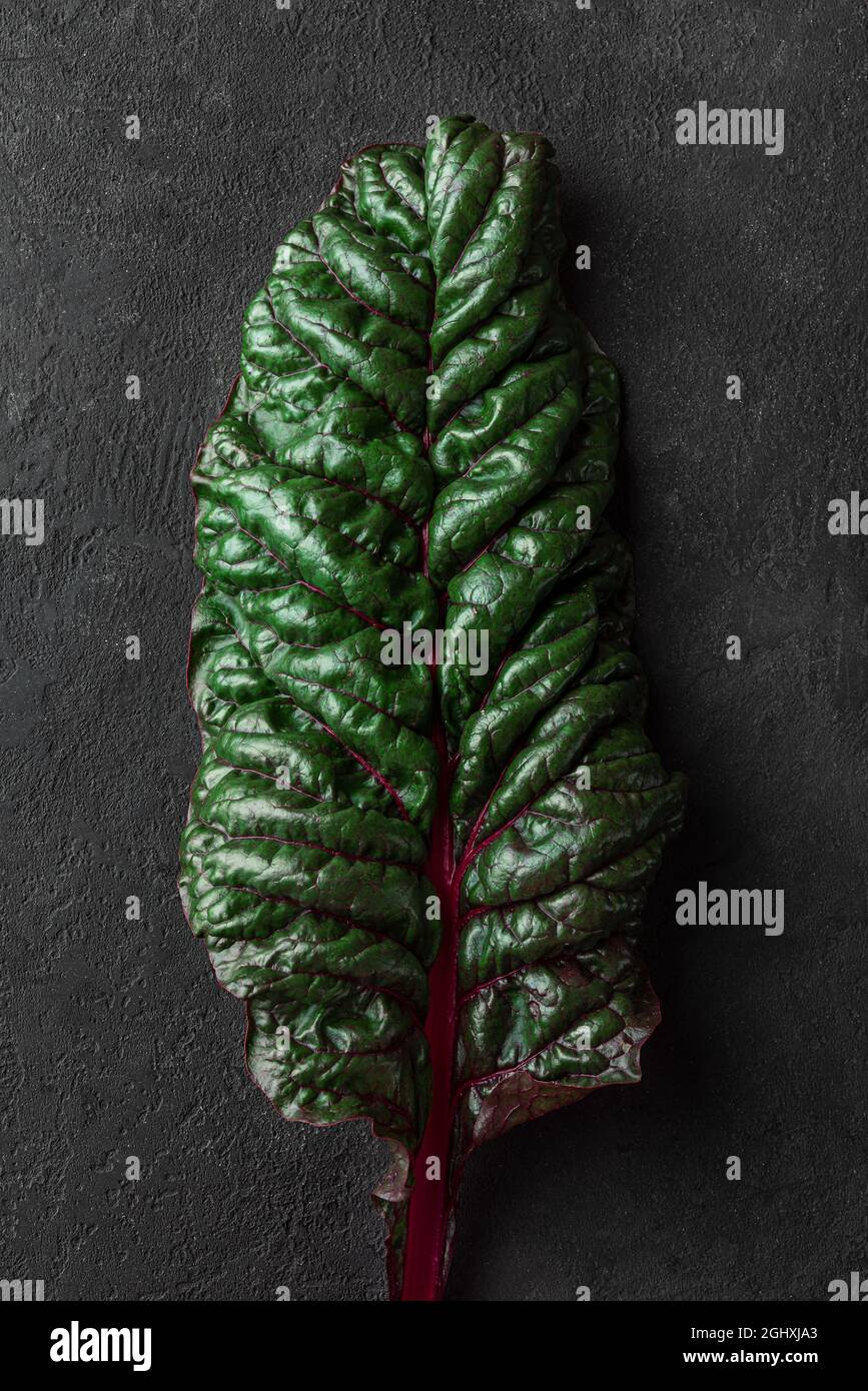 Fresh mangold salad leaf on black background.. plant texture. artistic ...