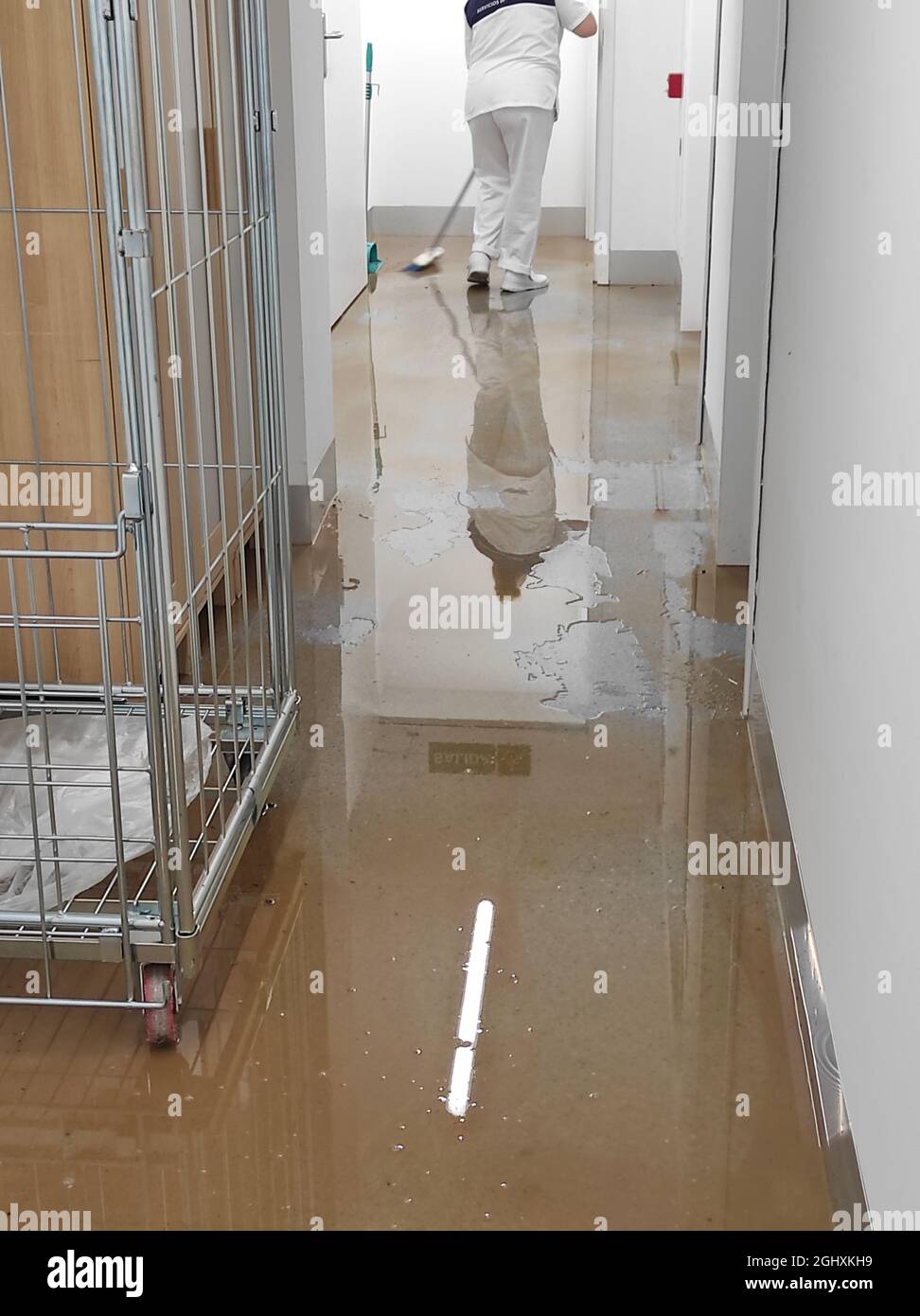 Cleaner,hospital cleaning,cleaner with mop and uniform cleaning hall ...