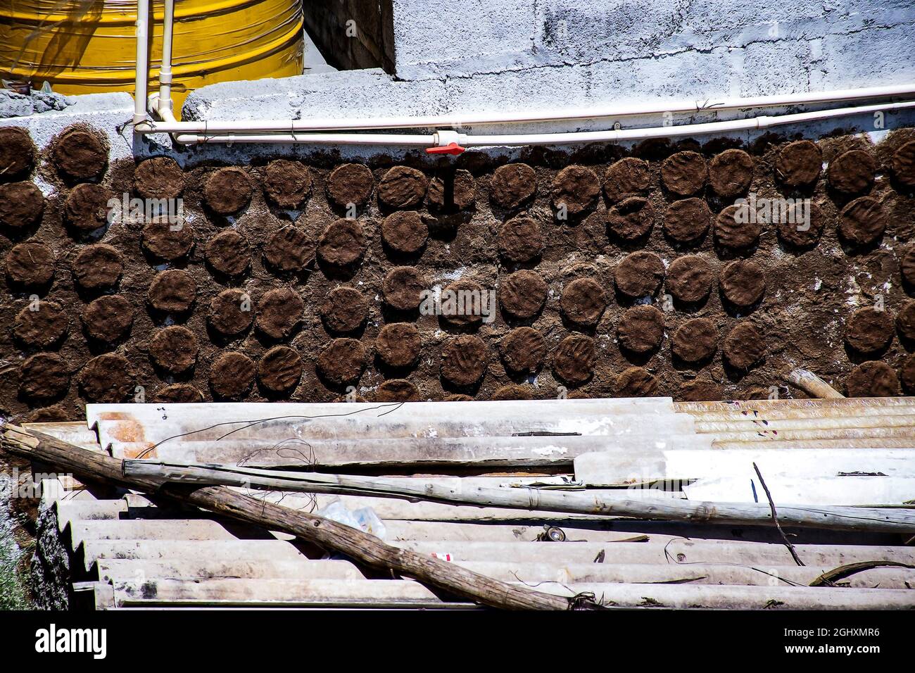 Cow dung cake patties drying on the wall in a village Stock Photo - Alamy