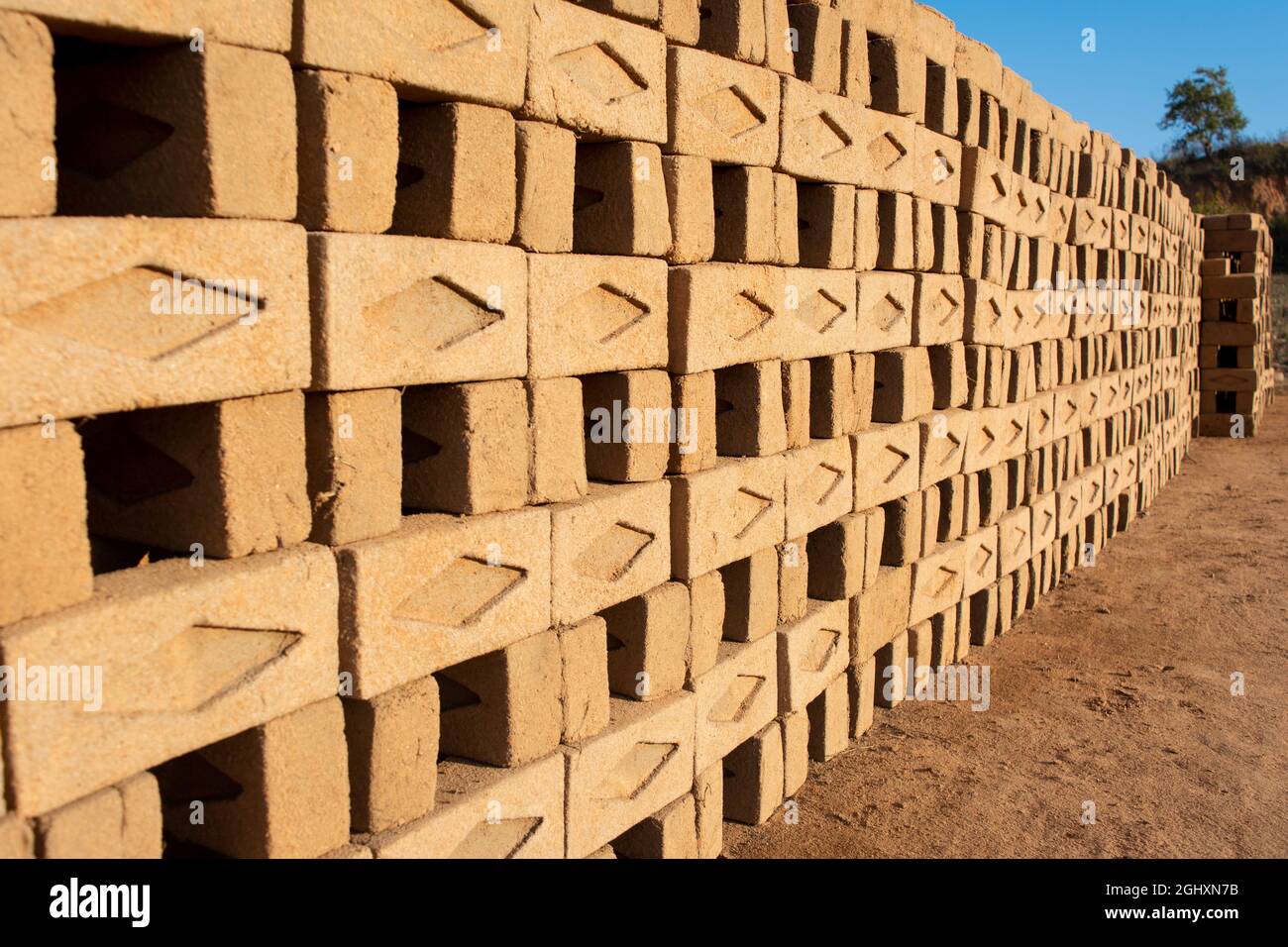 Hand made bricks from wet clay and mud are kept for drying before the ...