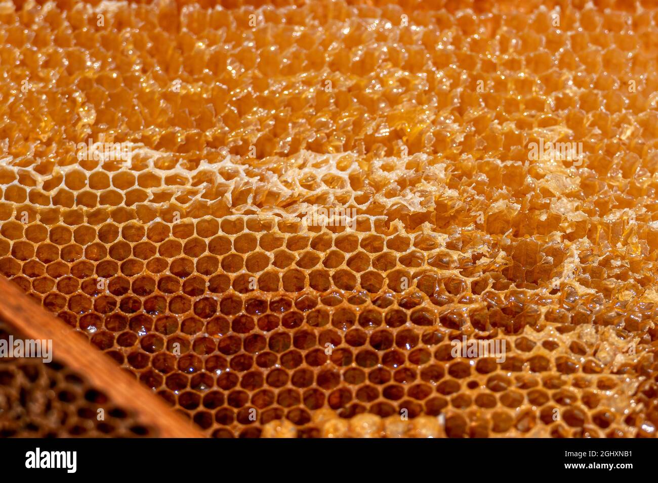 pile of wooden frames with empty honeycomb, wooden frame of honey combs ...