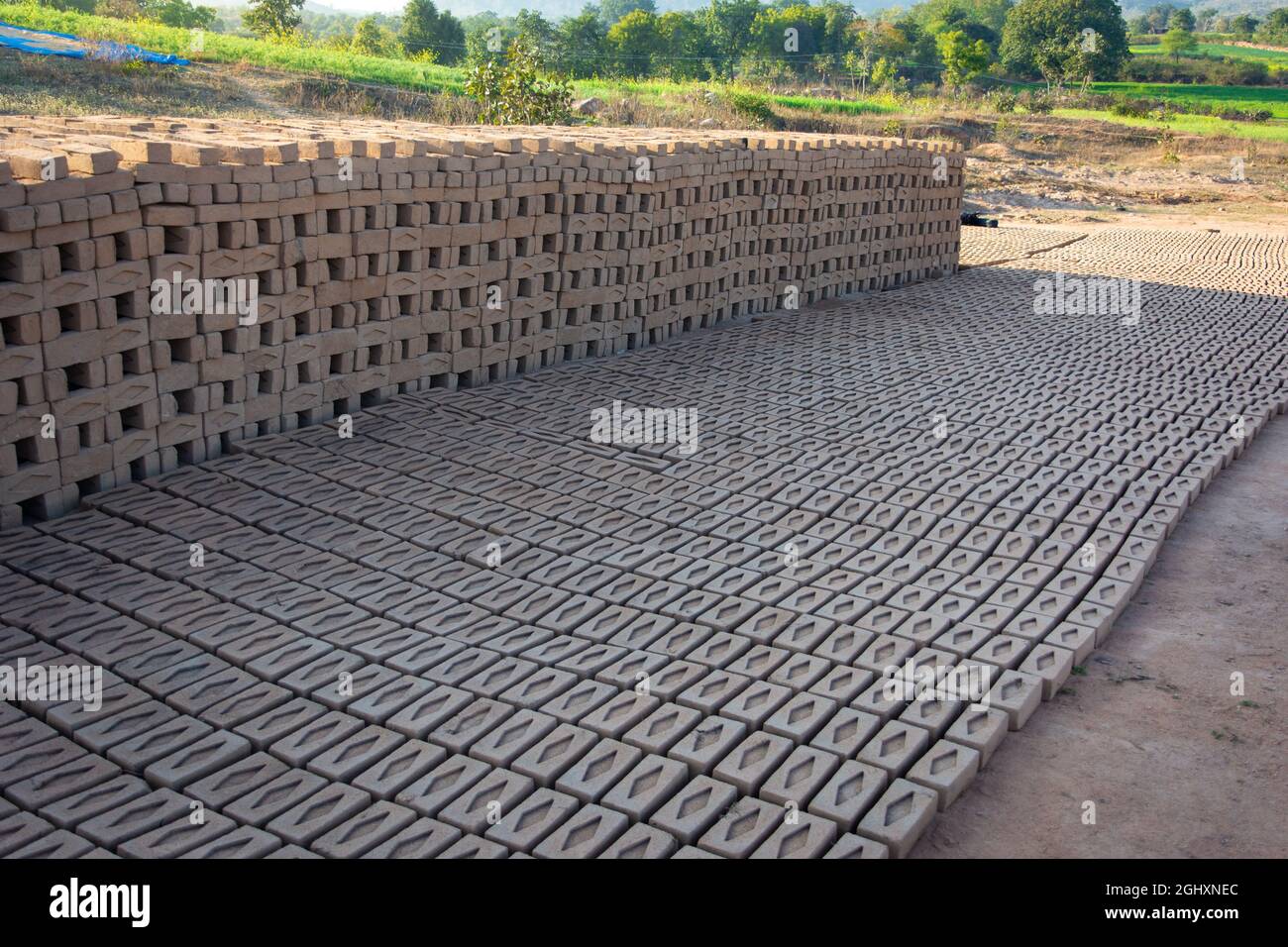 Hand made bricks from wet clay and mud are kept for drying before the ...