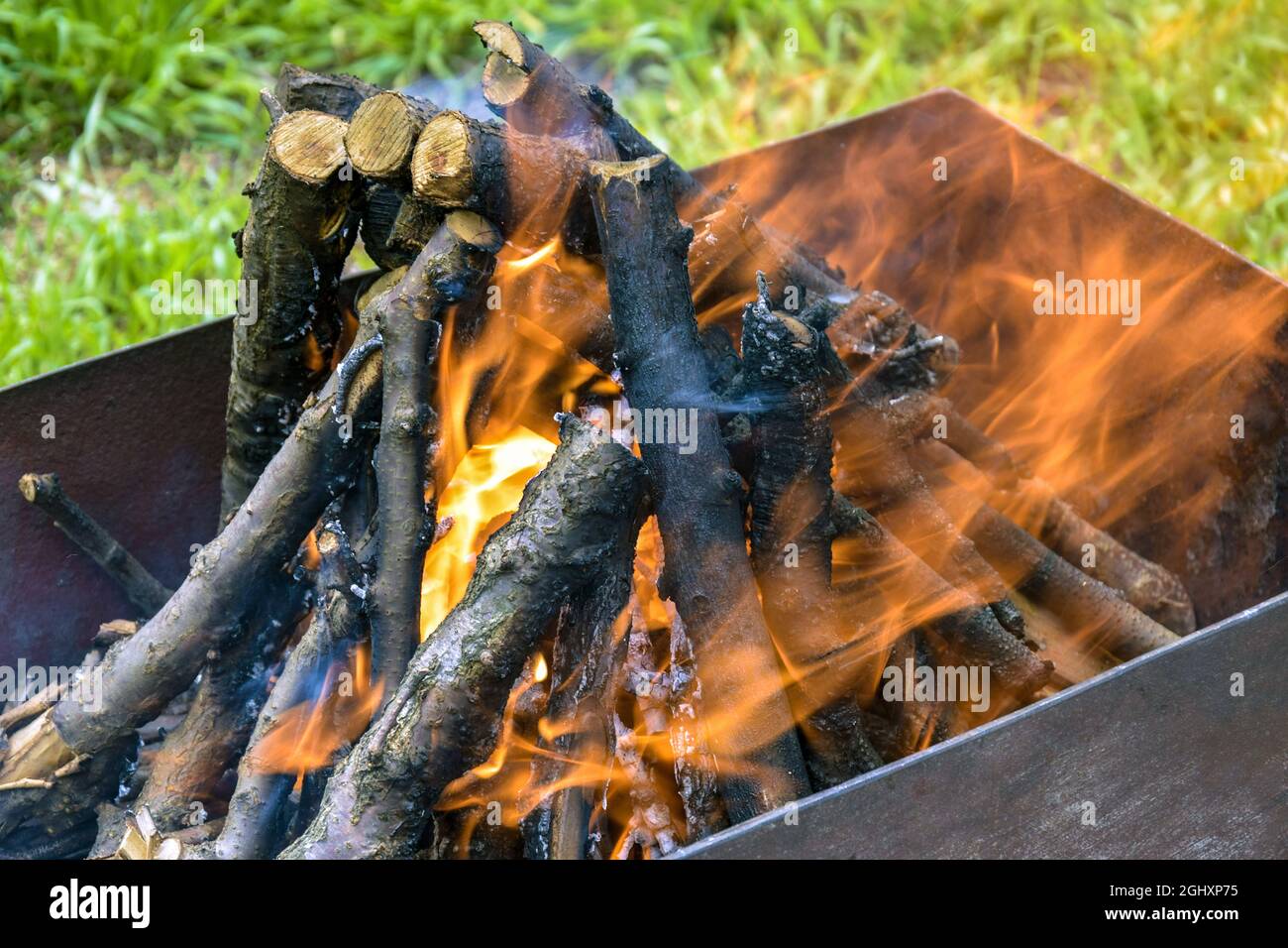 Bonfire made of branches of fruit trees. Flame flutters in wind ...