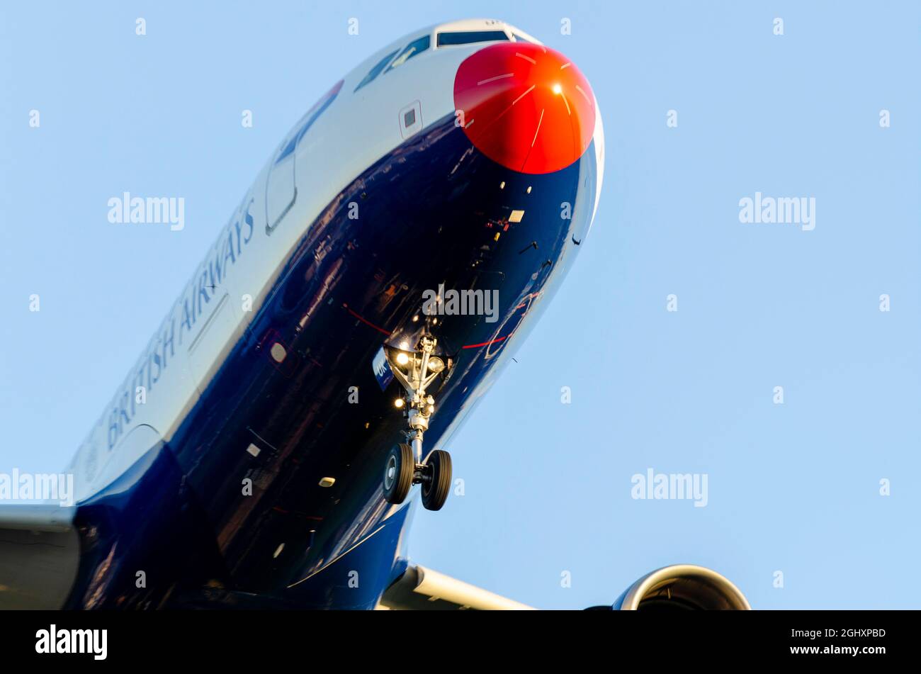 Red nose day hi-res stock photography and images - Alamy