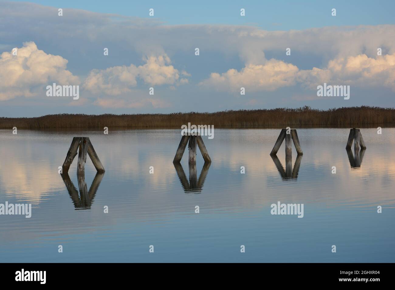 Lake Neusiedl in Mörbisch am See Stock Photo - Alamy