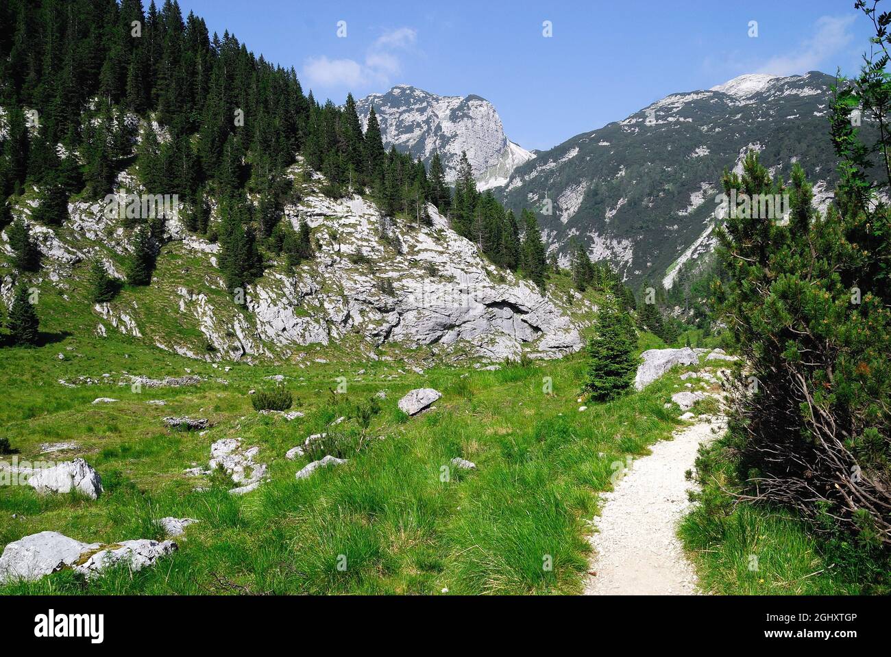 Slovenia, Lepena valley, Triglav National Park. The path for mount Krn ...