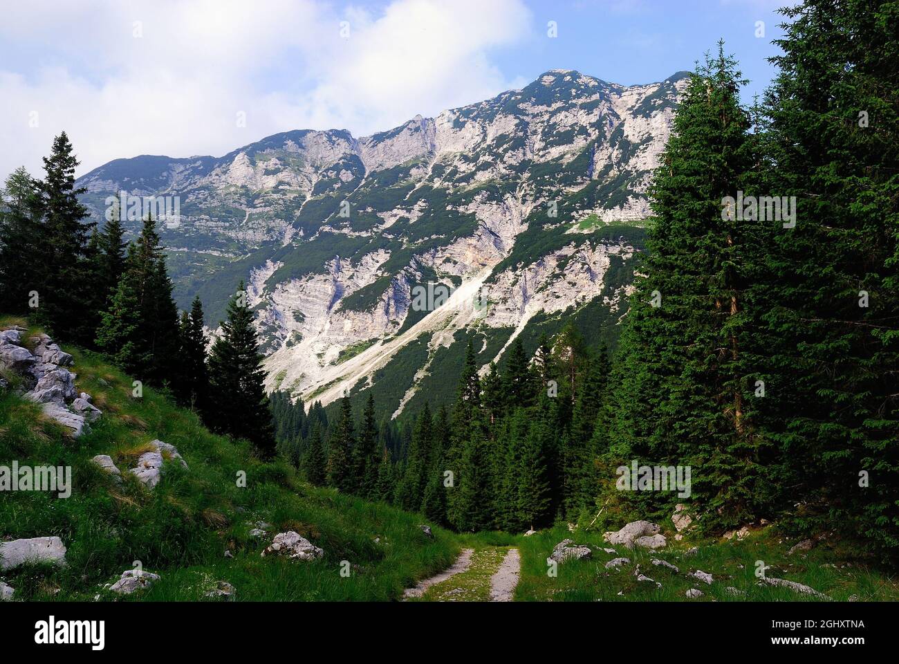 Slovenia, Lepena valley, Triglav National Park. The path for mount Krn ...