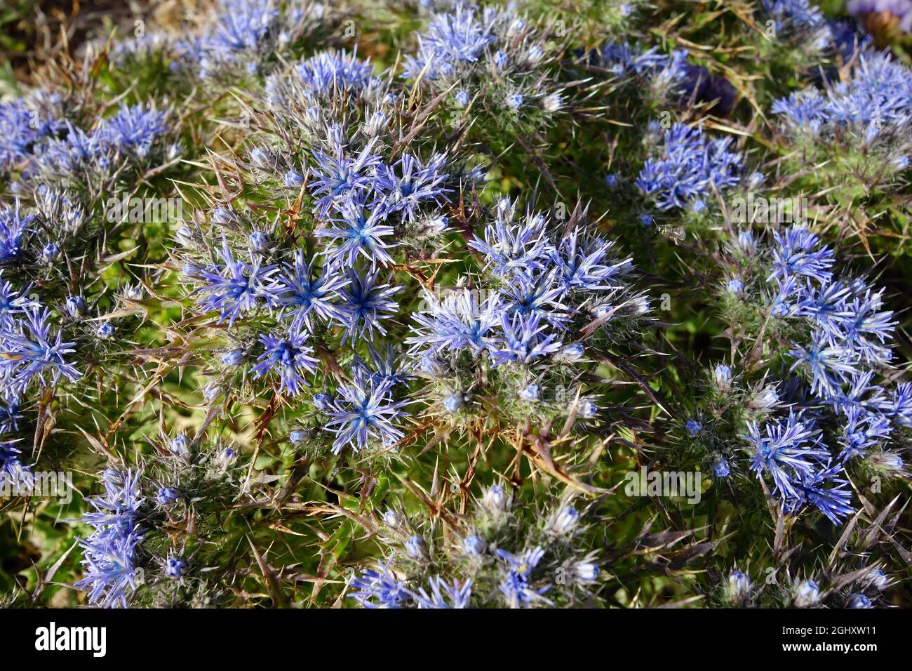 Lon 32 40119700 hi-res stock photography and images - Alamy