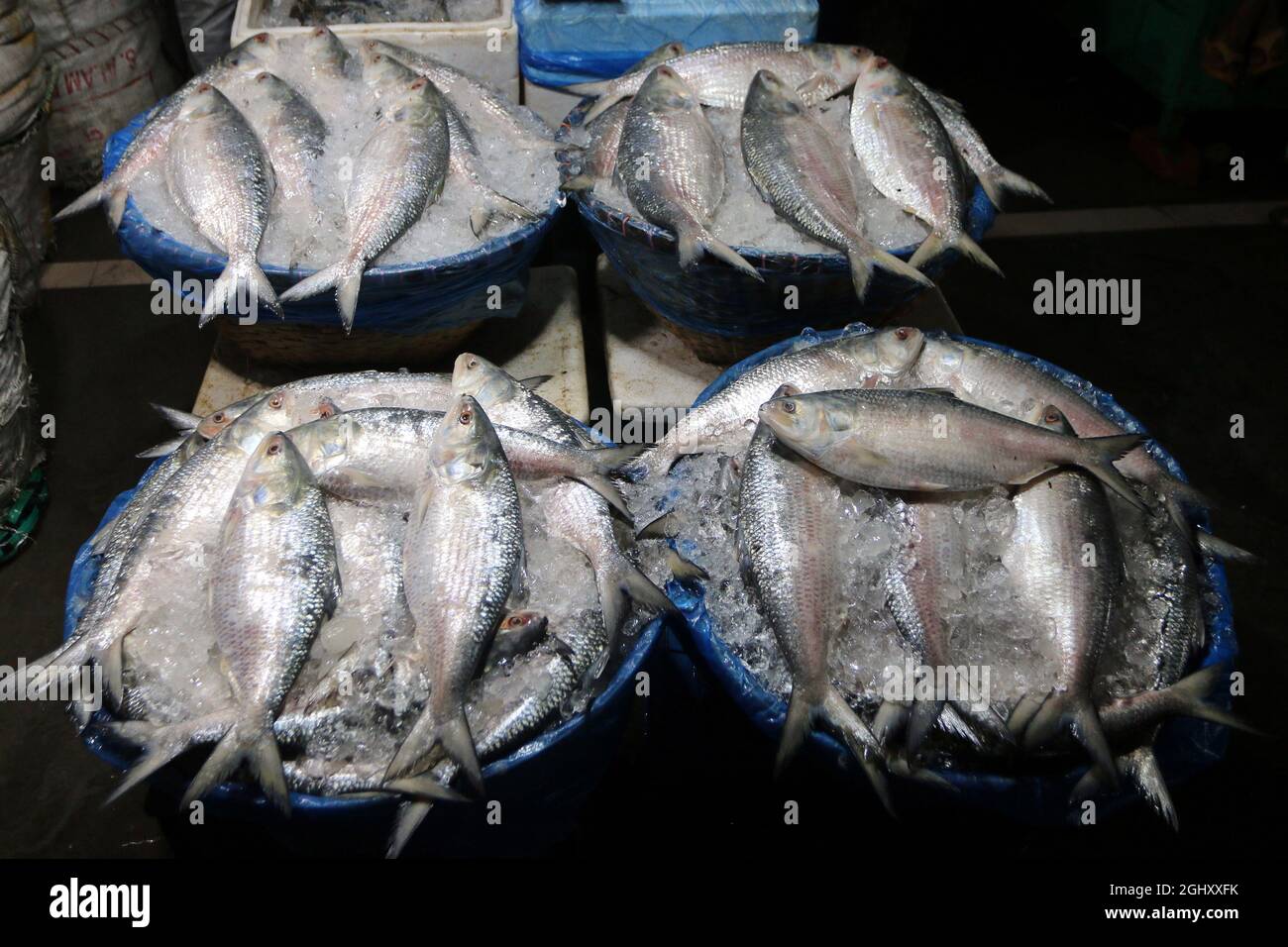 Fish market chittagong bangladesh hi-res stock photography and images ...