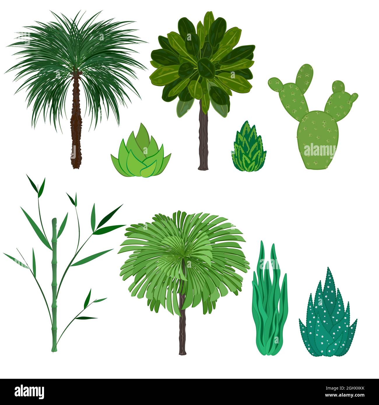 Feathery fern Stock Vector Images - Alamy