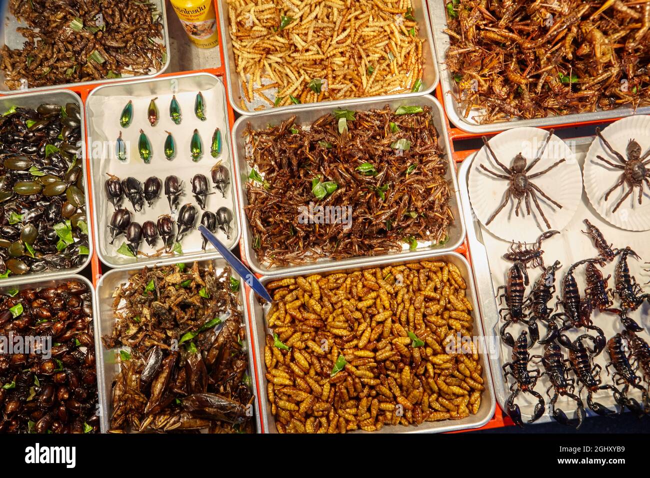 Sales of fried insects in Khao San Road, Bangkok, Thailand Stock Photo ...
