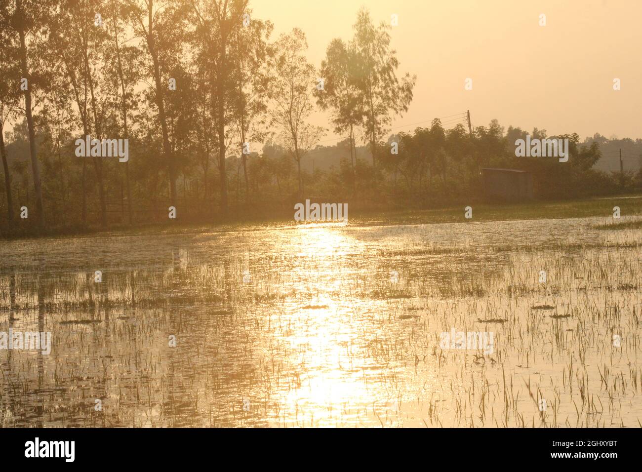 Good Afternoon Picture Stock Photo - Alamy