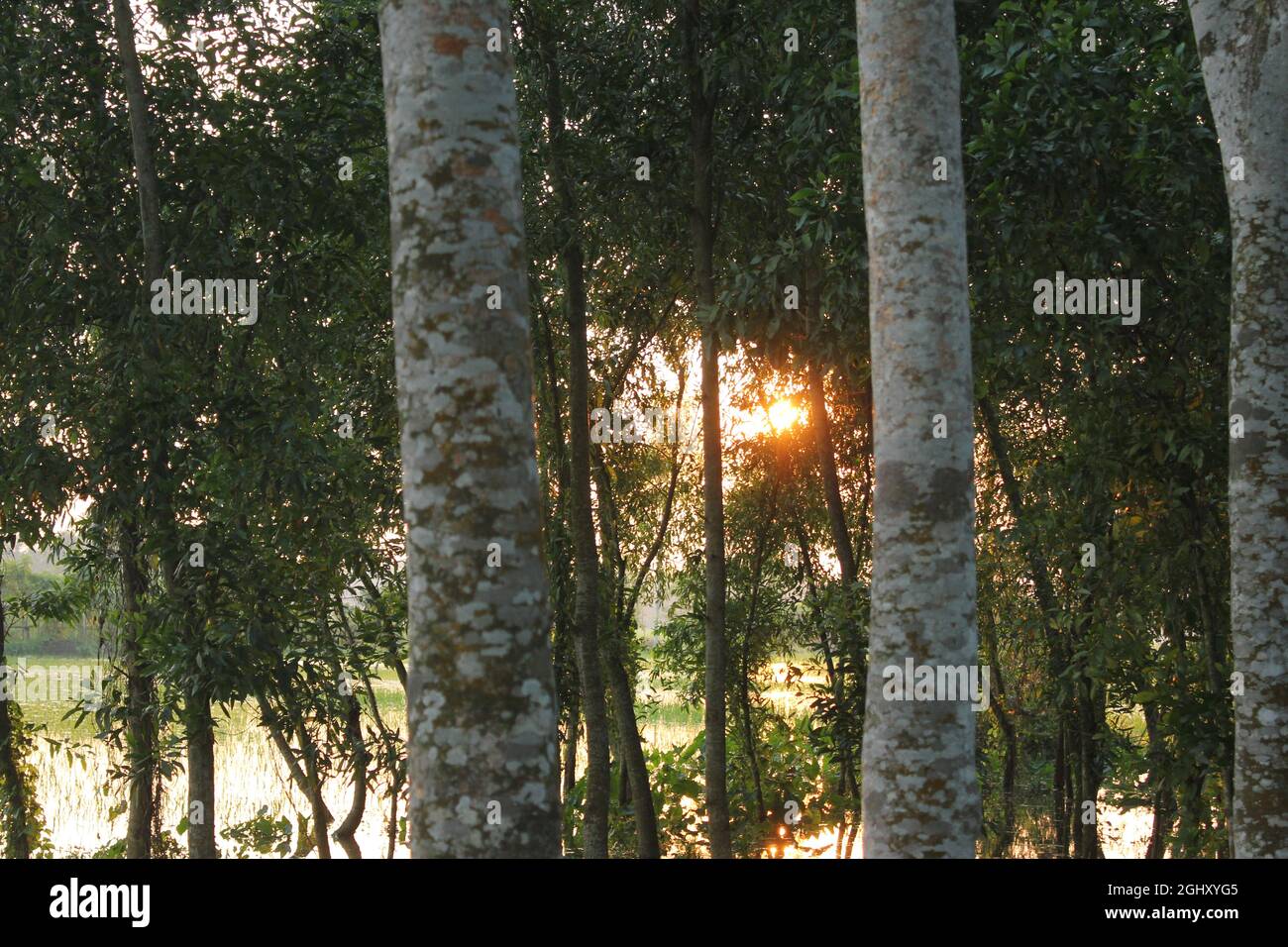 Fast evening picture hi-res stock photography and images - Alamy