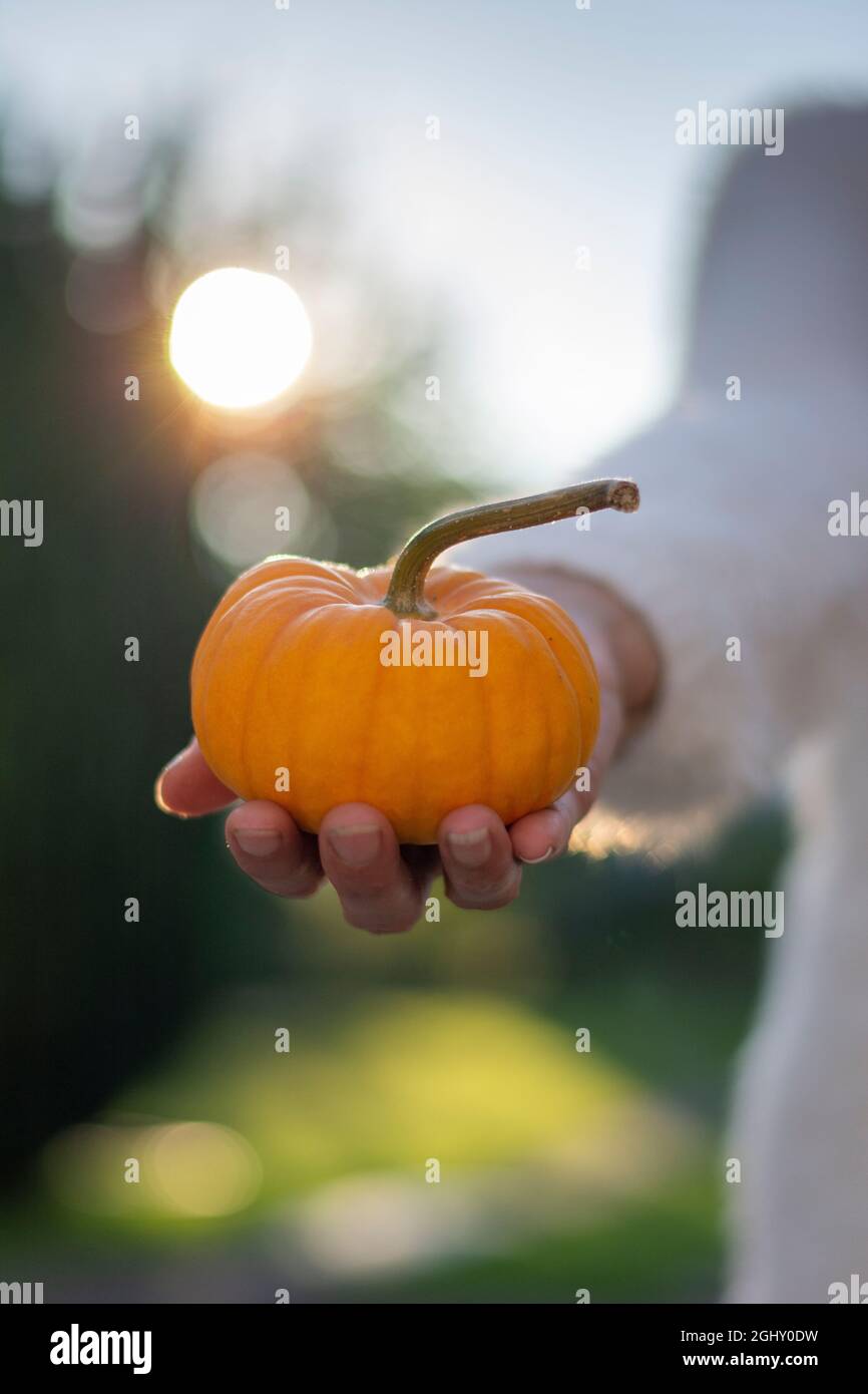 Dwarf woman hi-res stock photography and images - Alamy