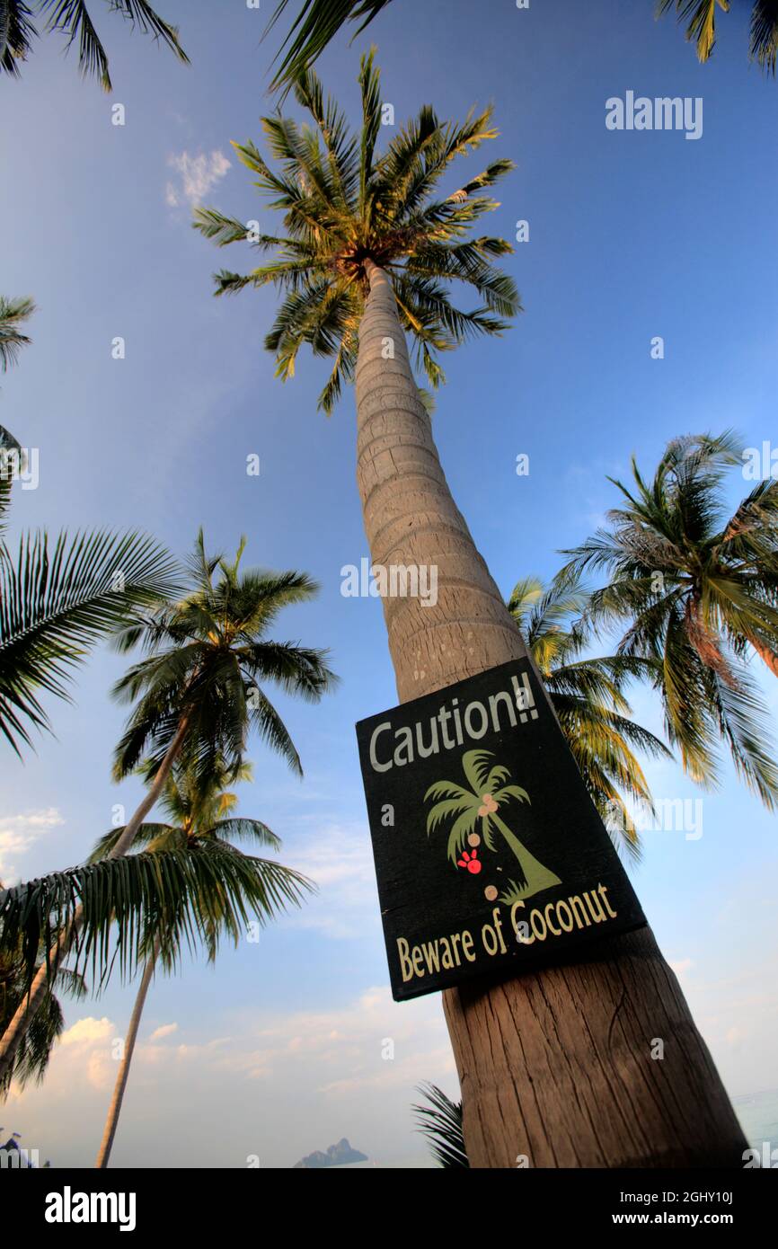 Sign warning falling coconuts hi-res stock photography and images - Alamy