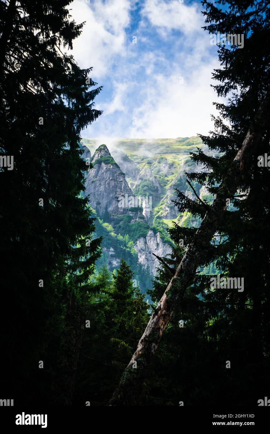 The trees are making a perfect natural frame for this amazing Earth ...