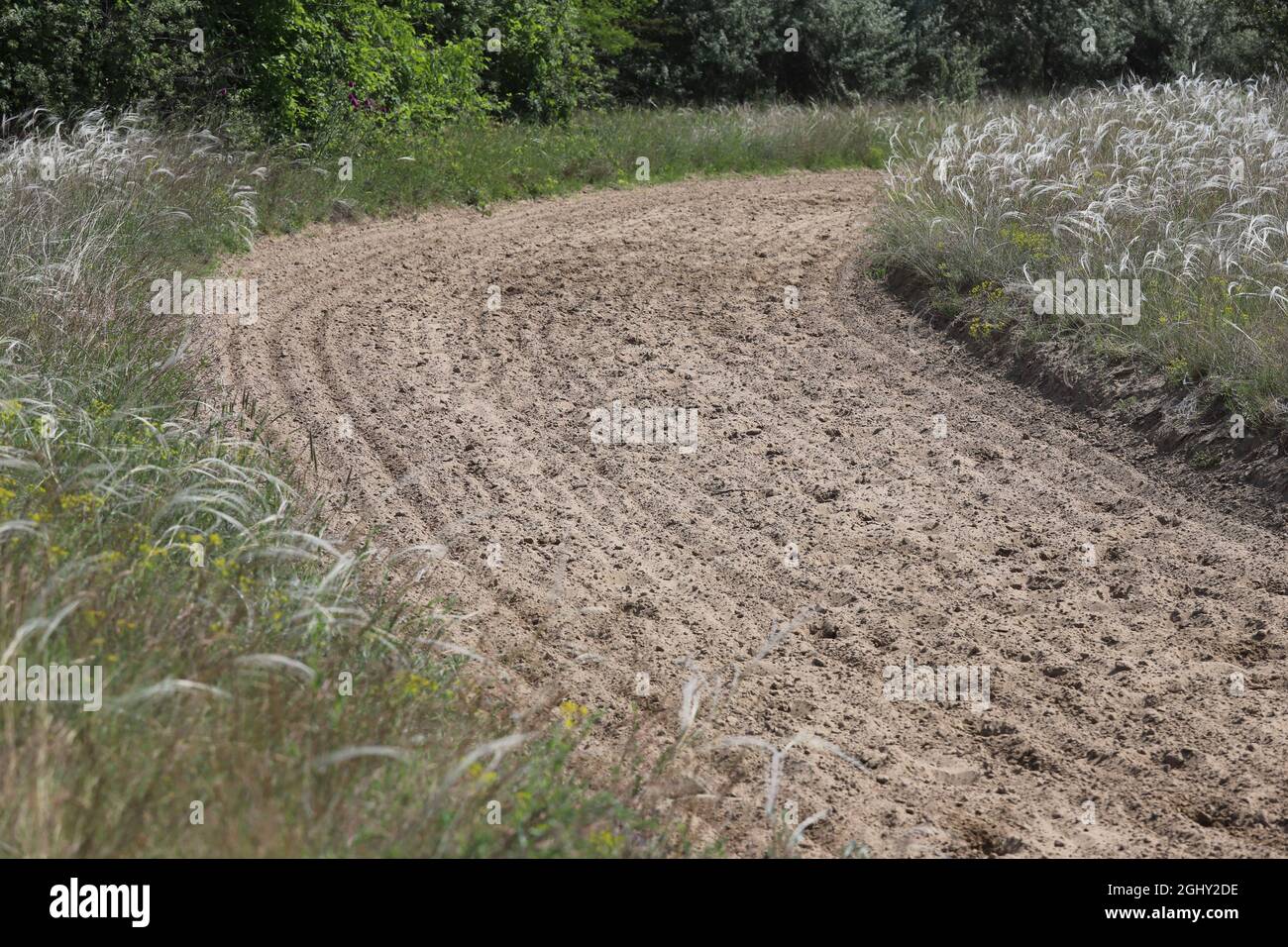 Empty sandy gallop track is a good addition for everyday horse training ...