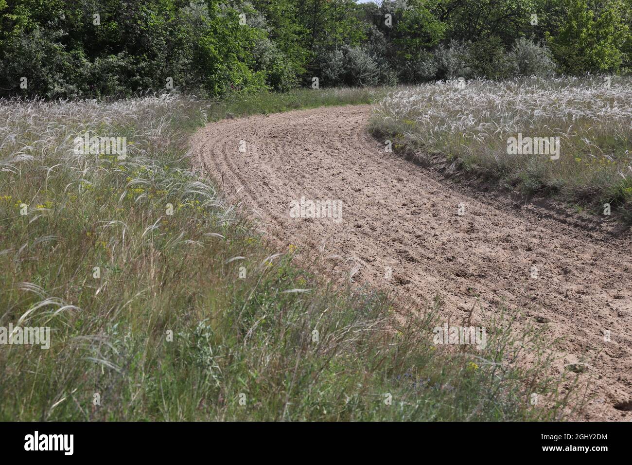 Empty sandy gallop track is a good addition for everyday horse training ...
