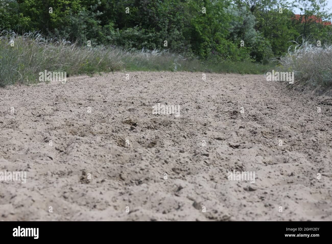 Empty sandy gallop track is a good addition for everyday horse training ...