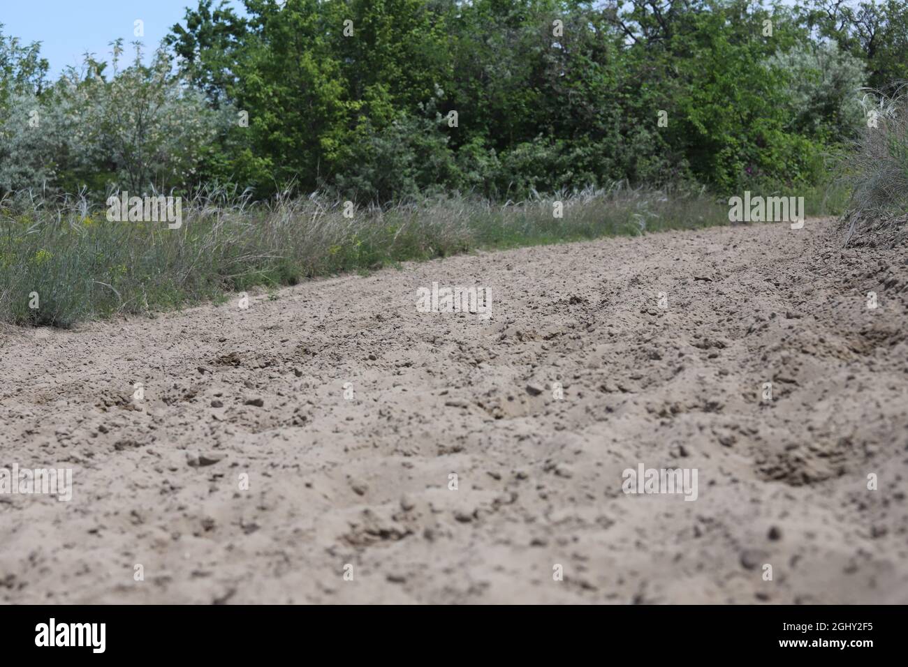Empty sandy gallop track is a good addition for everyday horse training ...