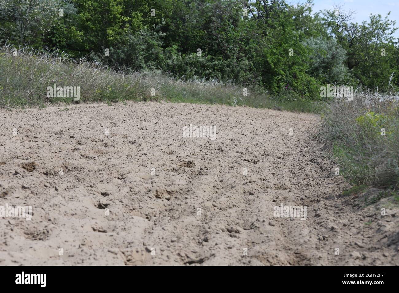 Empty sandy gallop track is a good addition for everyday horse training ...