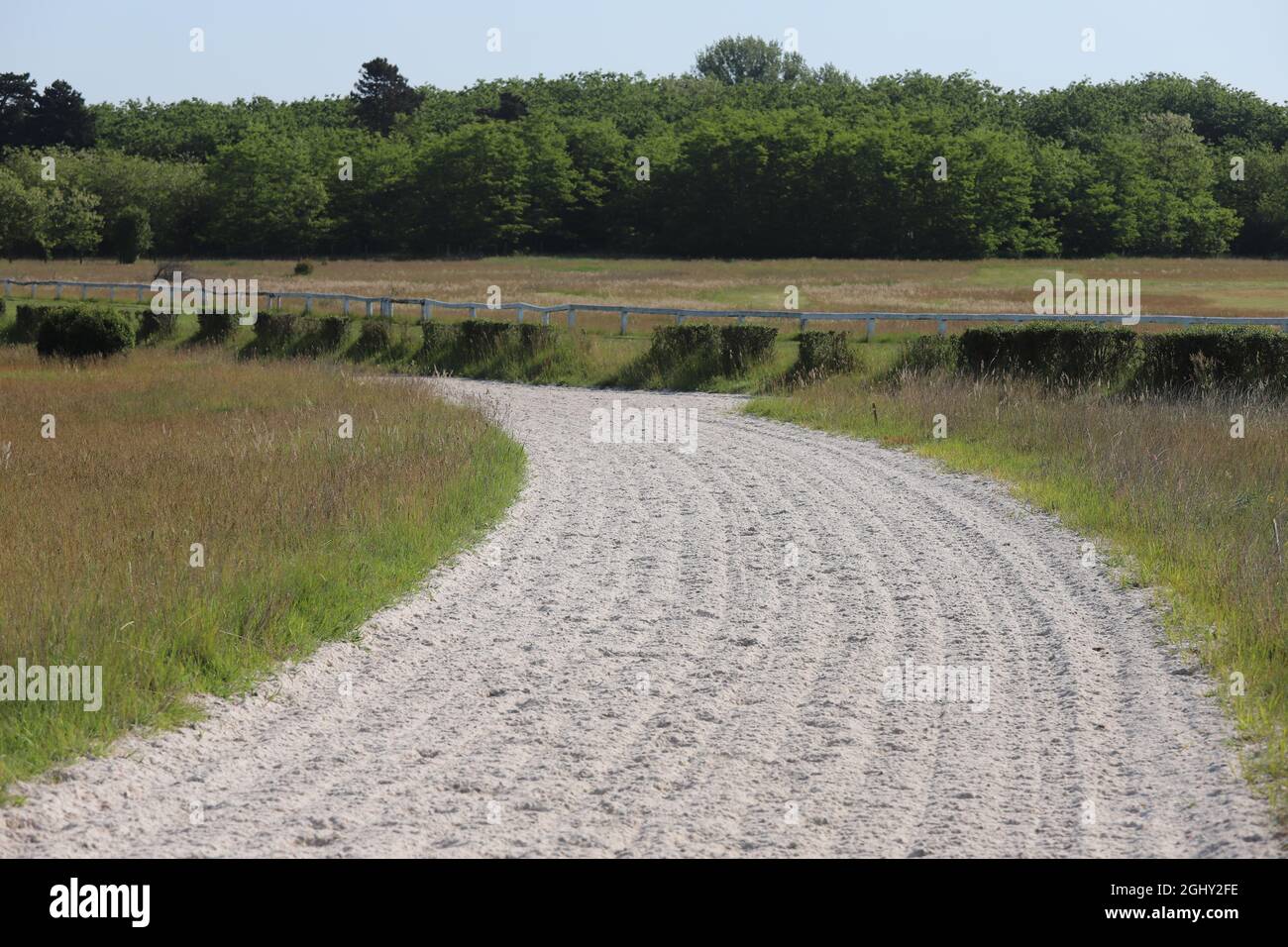 Empty sandy gallop track is a good addition for everyday horse training ...