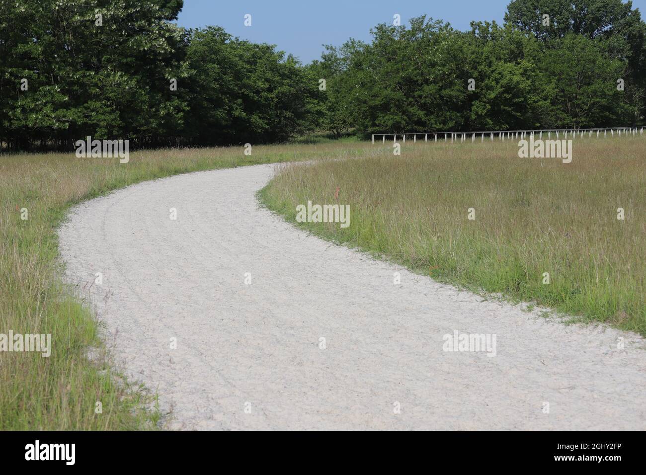 Empty sandy gallop track is a good addition for everyday horse training ...