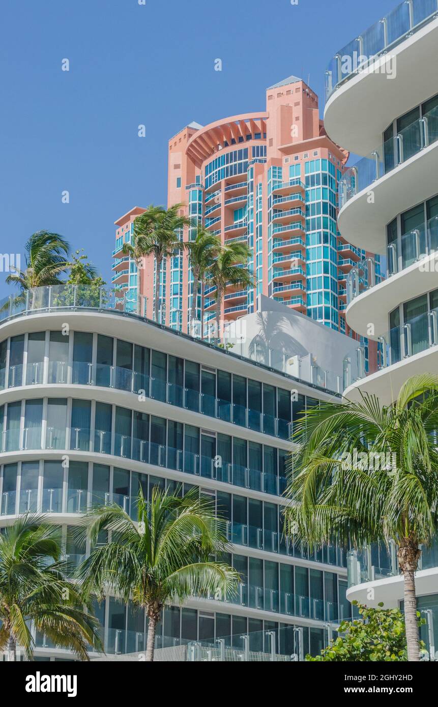 Bright colors and palm trees in Miami, Florida Stock Photo - Alamy