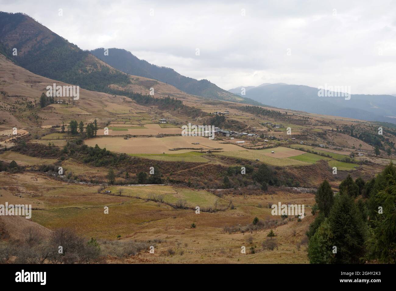 Hiking in the remote Tang Valley in eastern Bhutan Stock Photo - Alamy