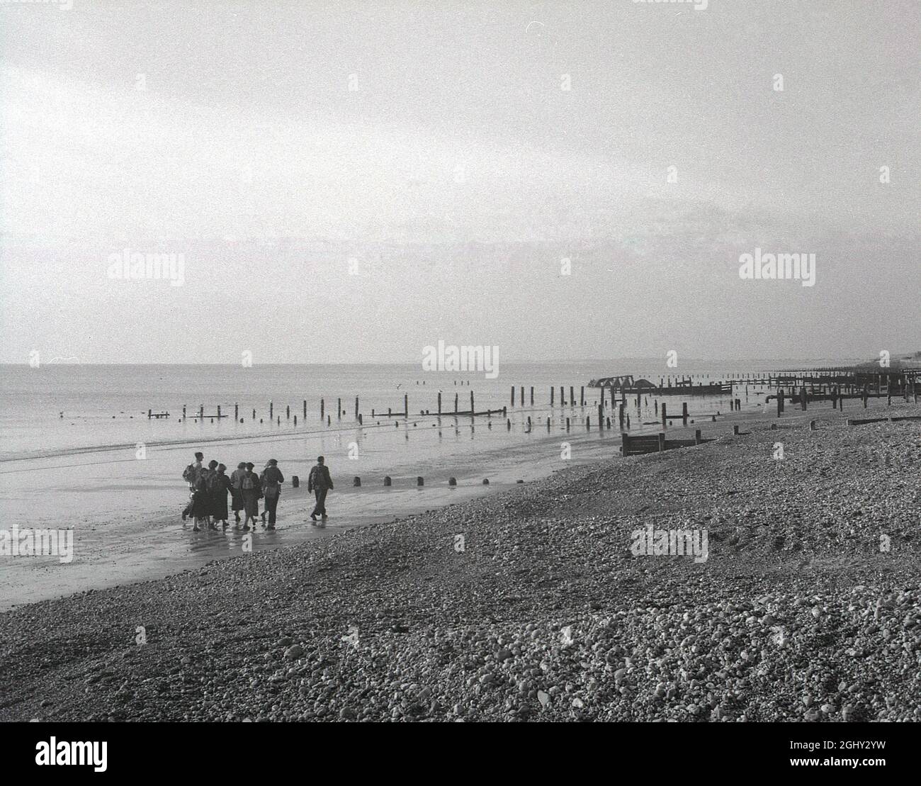 1950s, historical, ramblers walking aalong a beach at Selsey, East ...