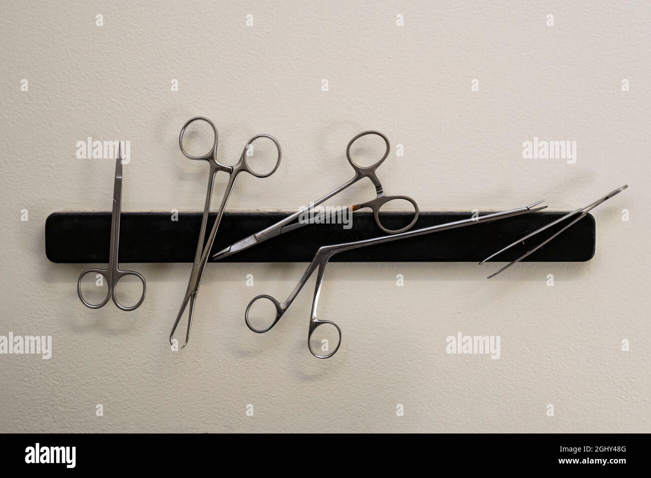 Metal surgical instruments on a magnetic bar on a clinic wall Stock ...