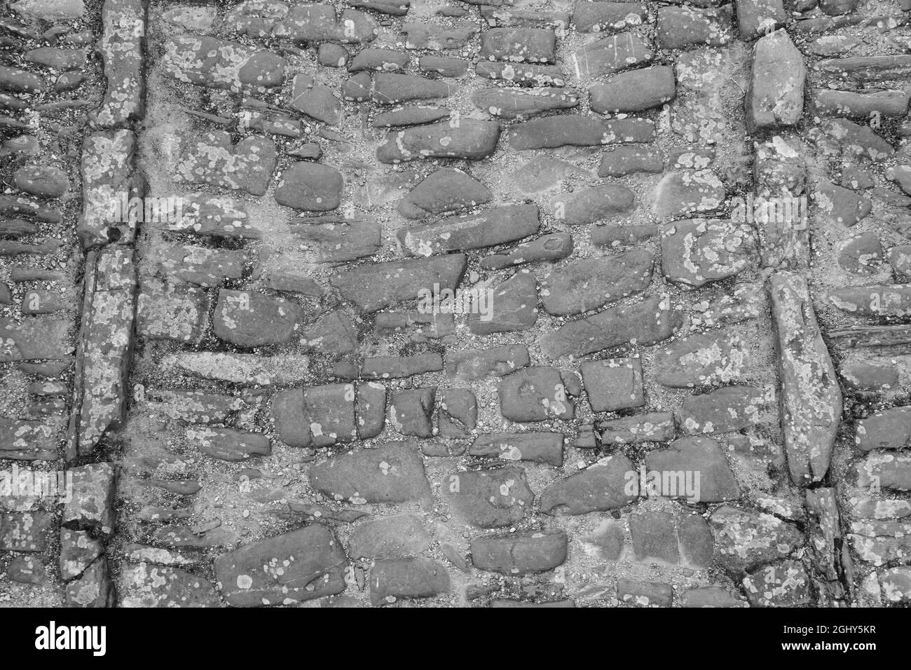 Cobblestone Path Background