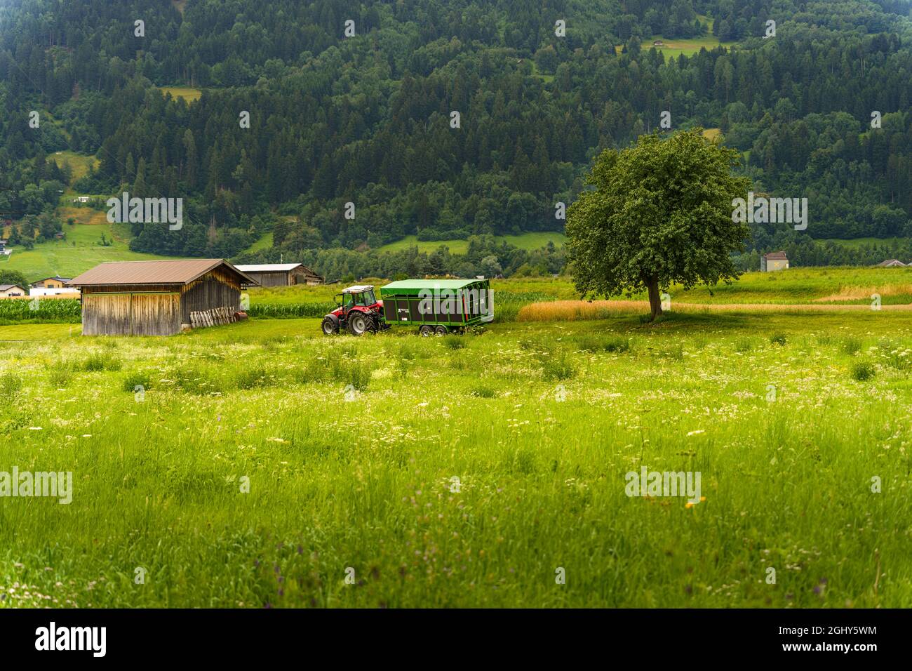 Tractor parked near the small wooden barn on a farm Stock Photo - Alamy
