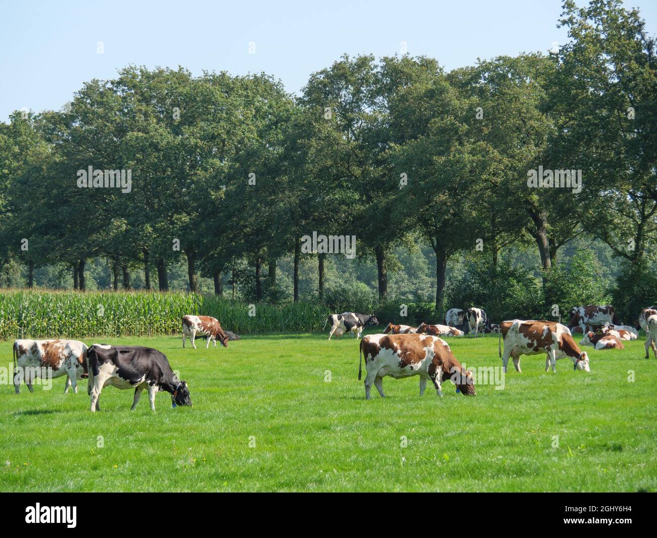 the small city of Bredevoort in ther netherlands Stock Photo - Alamy