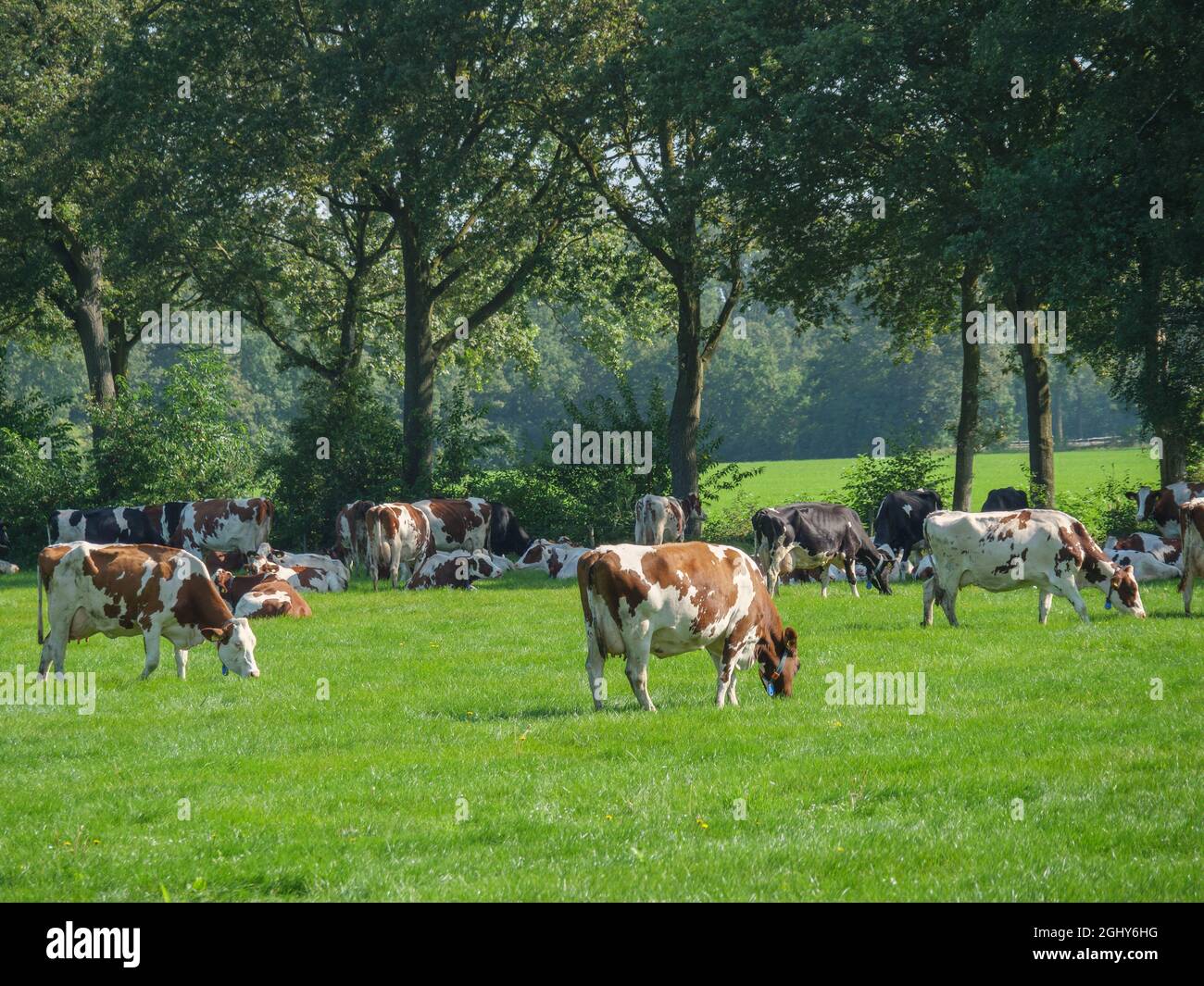 the small city of Bredevoort in ther netherlands Stock Photo - Alamy