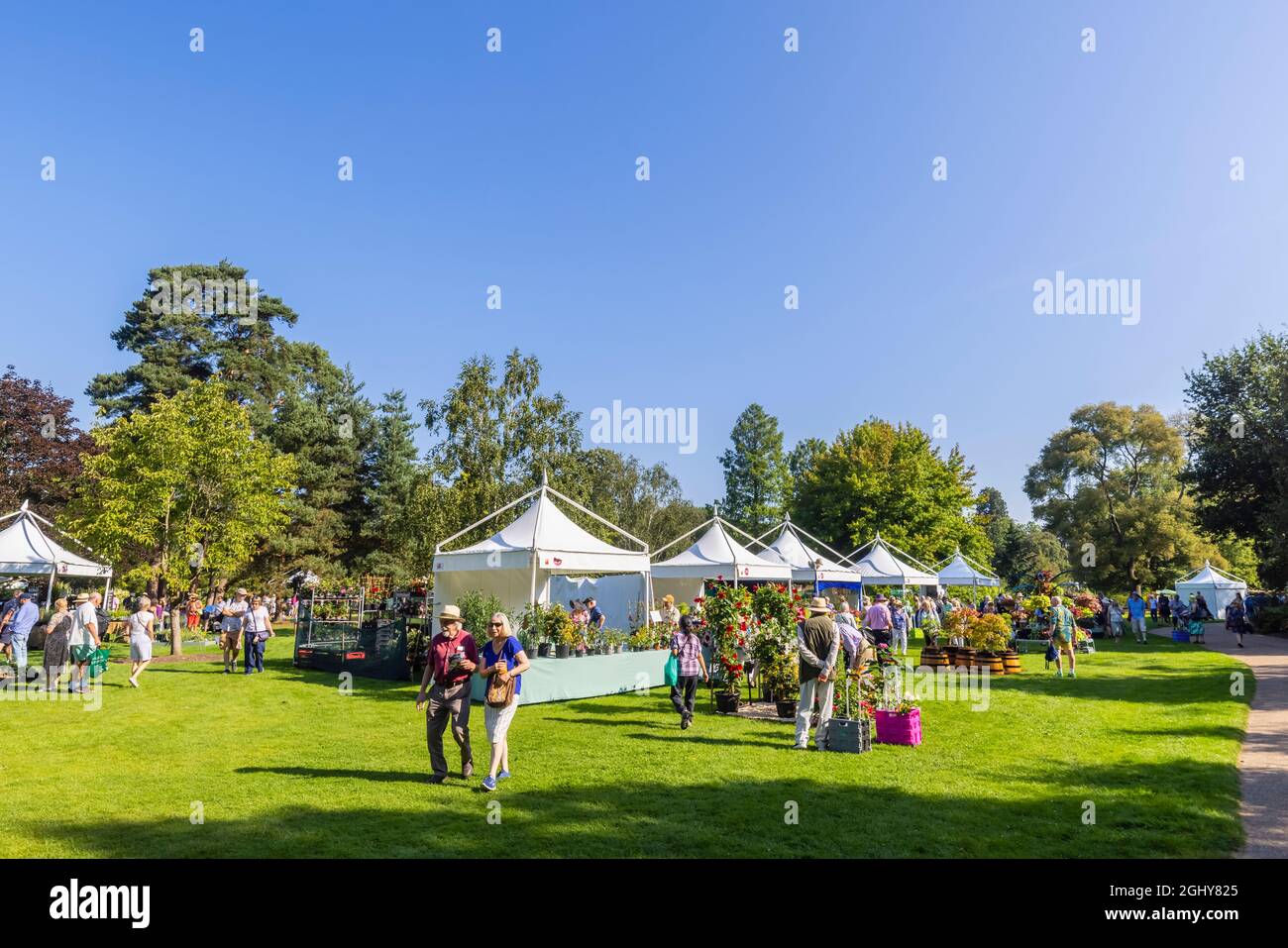 Wisley flower show 2021 hi-res stock photography and images - Alamy