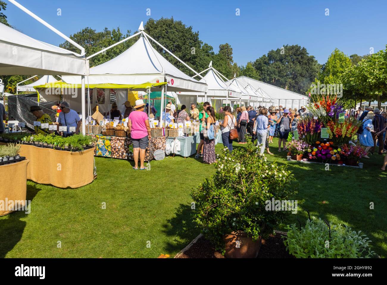 Wisley flower show 2021 hi-res stock photography and images - Alamy
