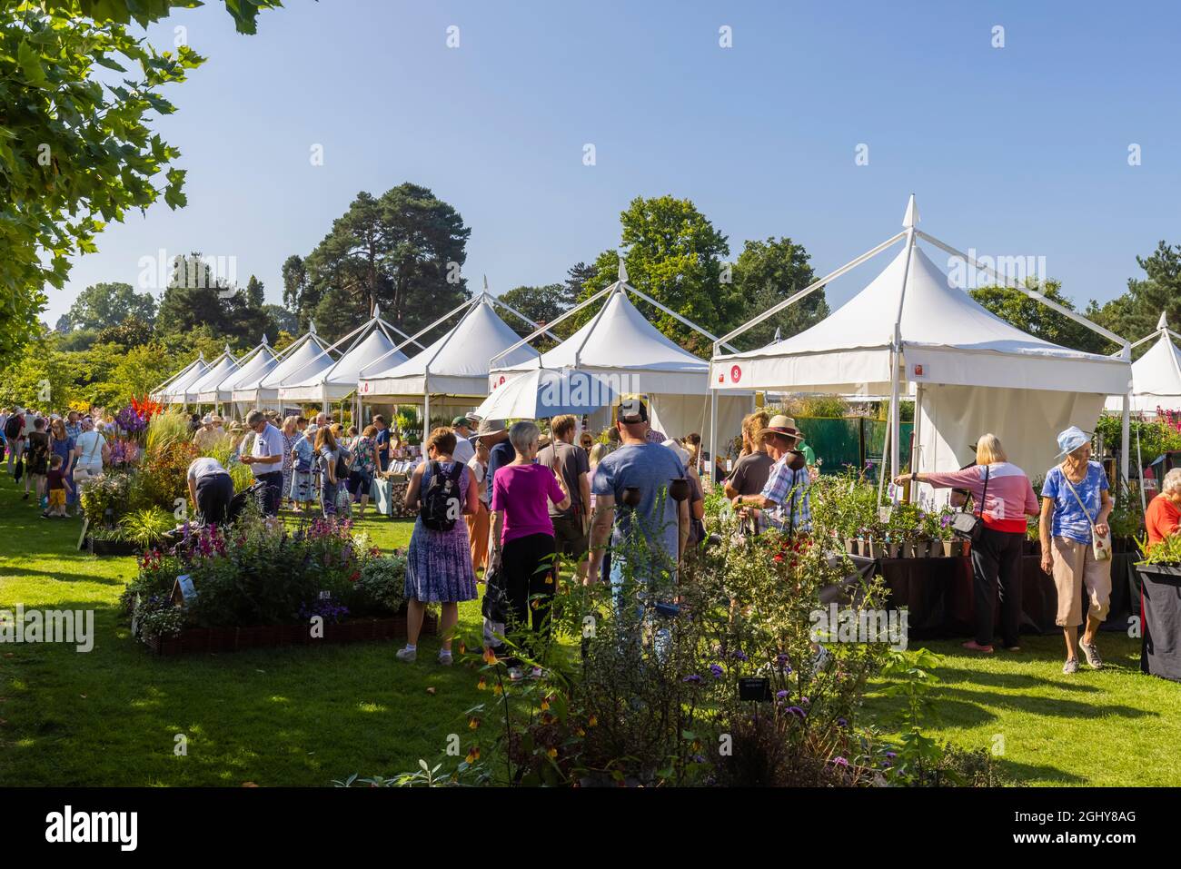 RHS Garden Wisley Flower Show 2021. Visitors flock to the annual show ...