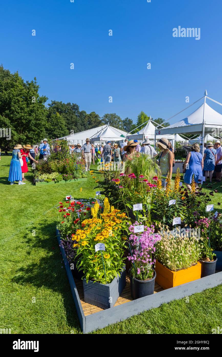 RHS Garden Wisley Flower Show 2021. Visitors flock to the annual show ...